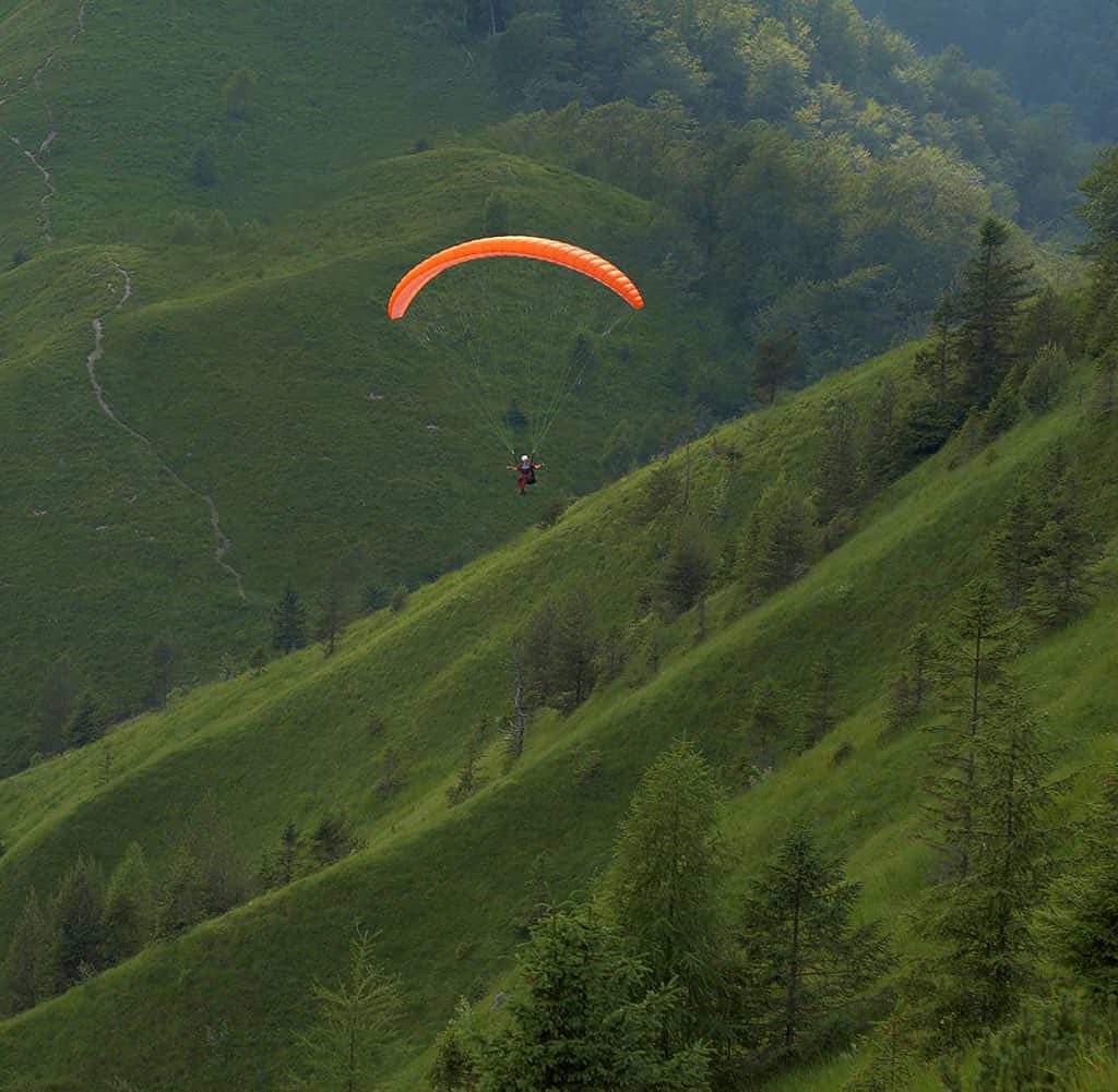 Last Chance! November Cohort is Closing! - PROPEL